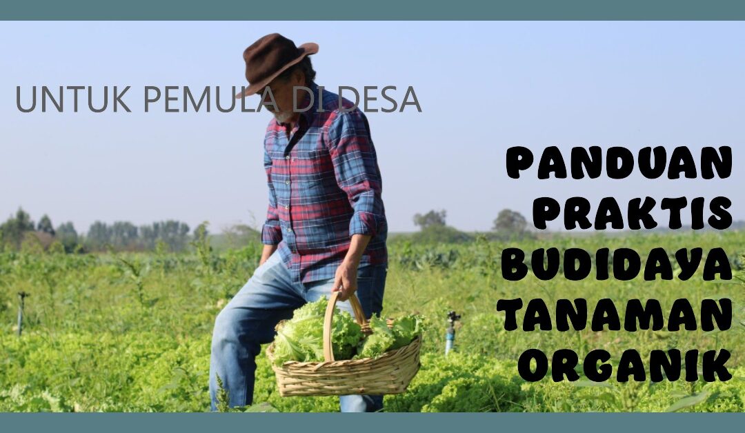 Rahasia Desa Mandiri Pangan: Panduan Merintis Budidaya Organik