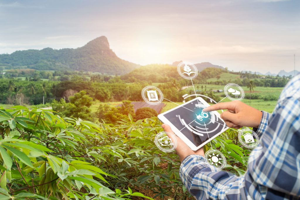 Membangun Ekosistem Pertanian Digital Yang Berkelanjutan